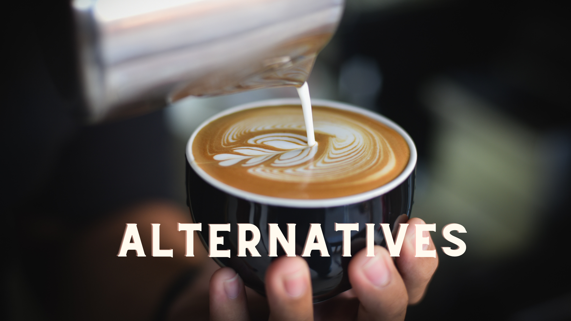 Can Parrots Drink Coffee? Exploring The Pros And Cons - Hero Coffee