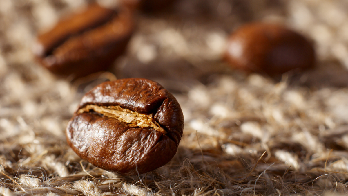 Why Does My Coffee Look Oily? Uncovering The Causes And Solutions ...