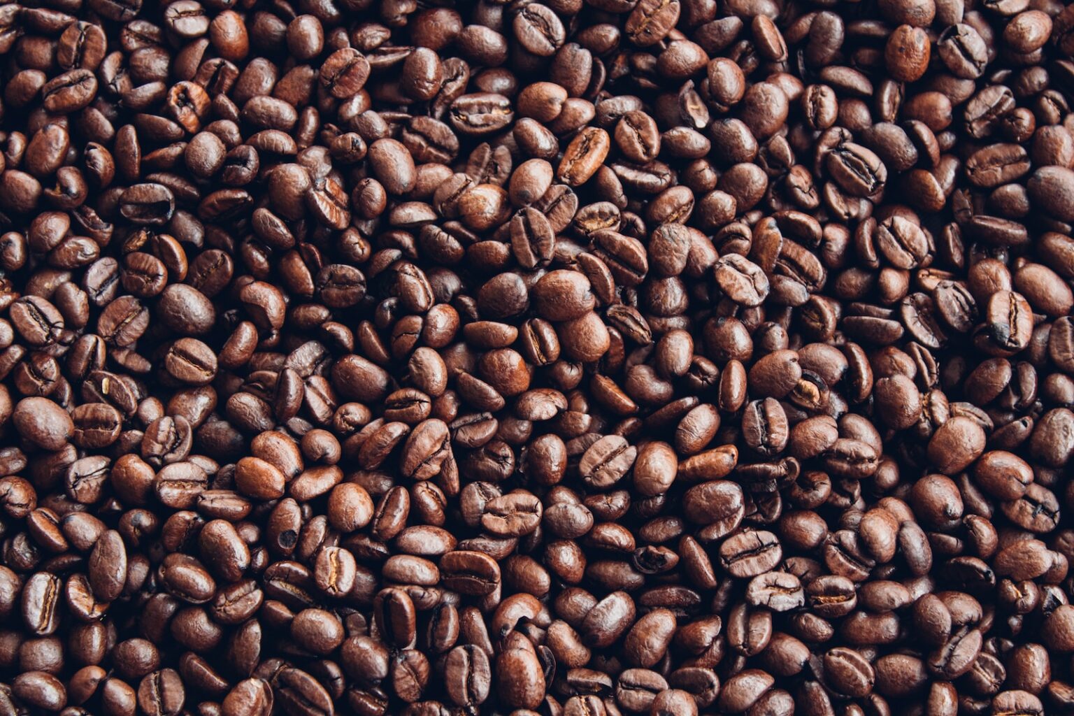 How To Dry Coffee Grounds: Learn The Right Method